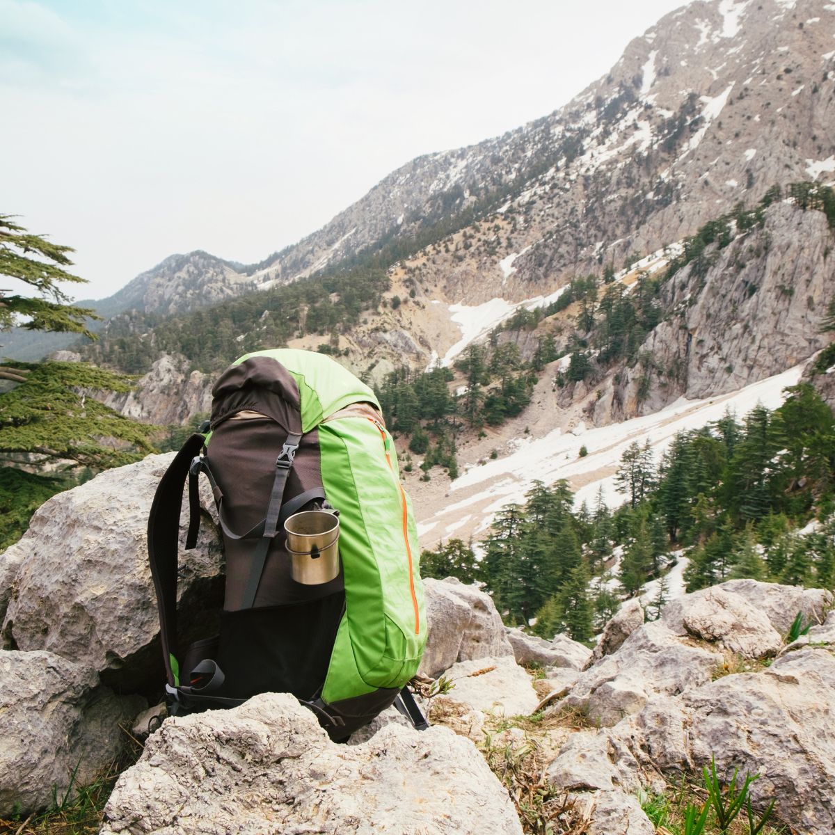 Best Guide for the Ultralight Backpacking Camping Mug - Call of the Big ...